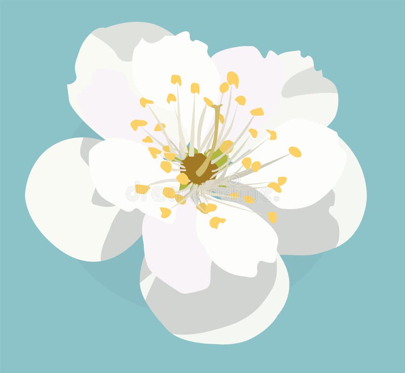 Blooming spring symbol stock vector. Illustration of beauty - 246101098