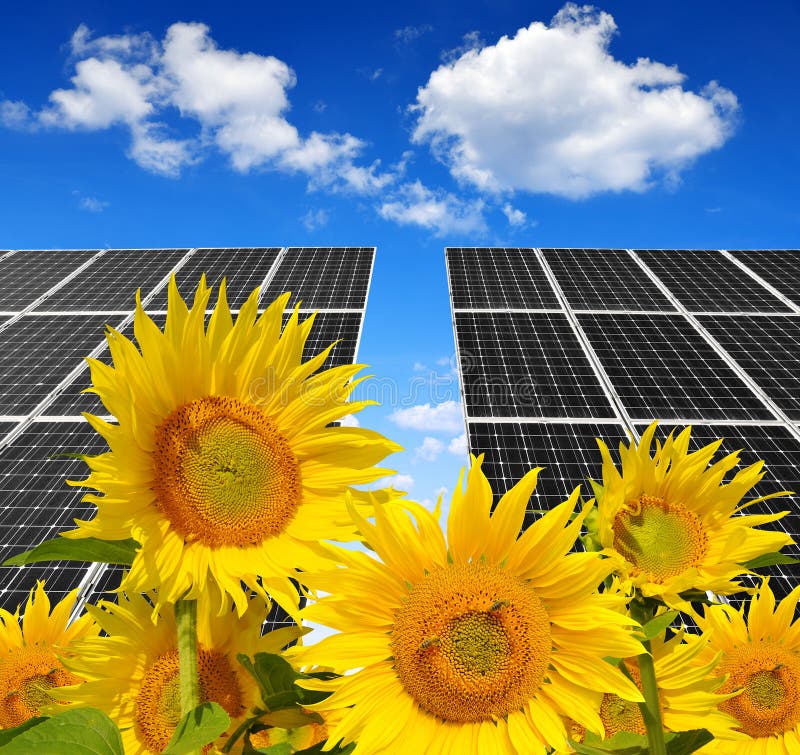 Solar energy panels stock photo. Image of environmental - 55105370
