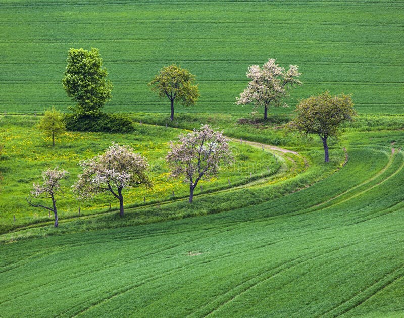 Spring Landscape with Amazing Chapel in Green Fields at Sunset Stock ...