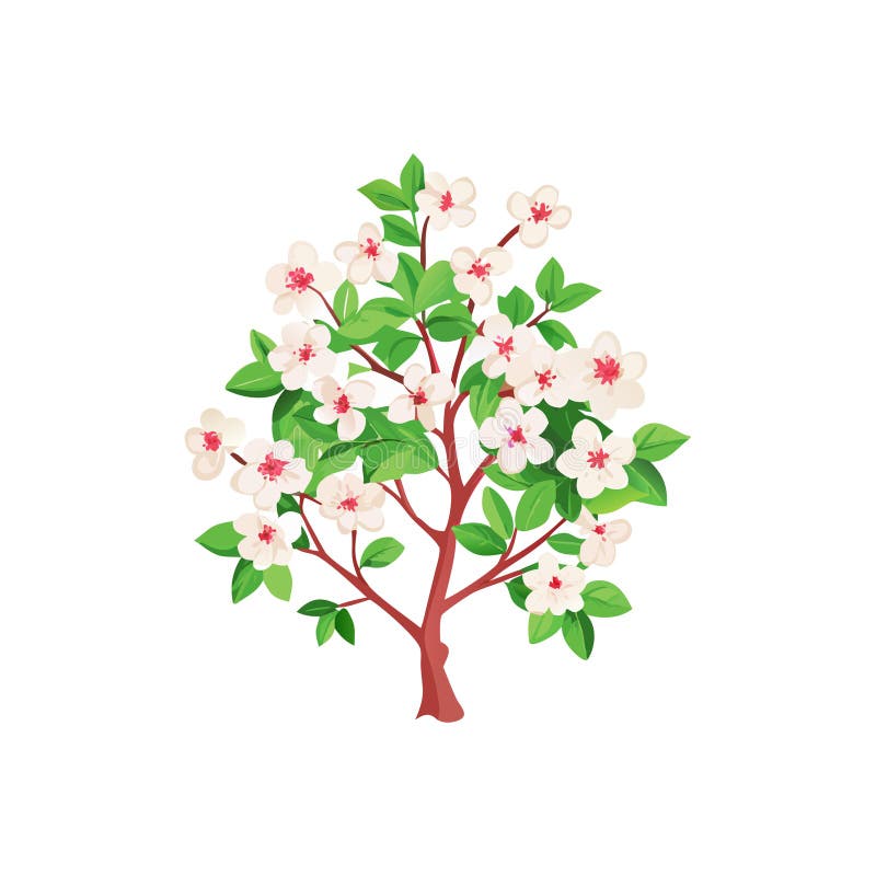 Blooming Tree with White Flowers Vector Illustration for Spring Designs ...