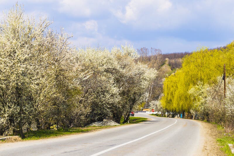 Balcesti Town Stock Photos - Free & Royalty-Free Stock Photos from ...