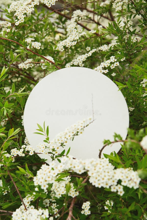 Blooming White Bush and Round Canvas Shape Stock Photo - Image of ...