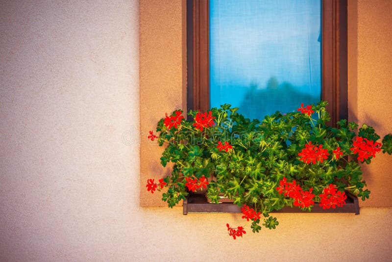 Window with a Flowers Hanging Box Stock Photo - Image of hanging ...