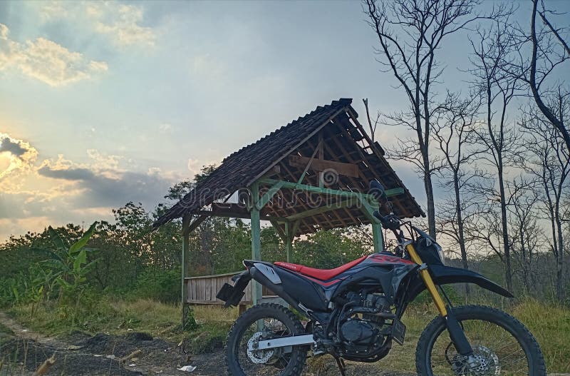 Blora Teak Forest Stock Photos - Free & Royalty-Free Stock Photos from ...