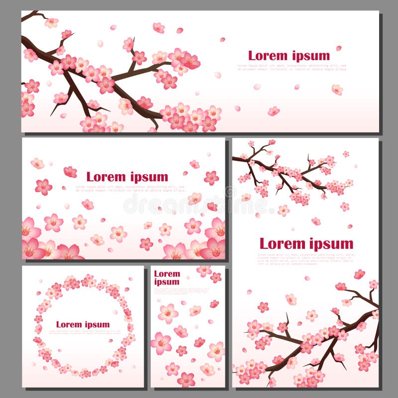 Blossom Cherry Greeting Cards Stock Vector - Illustration of frame ...