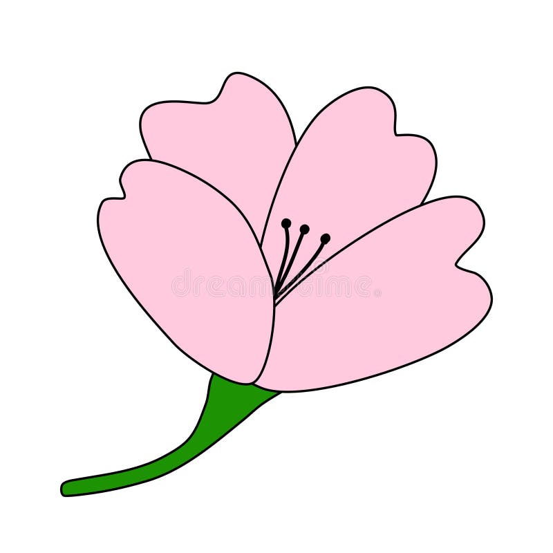 Side View Flower Stock Illustrations – 5,431 Side View Flower Stock ...