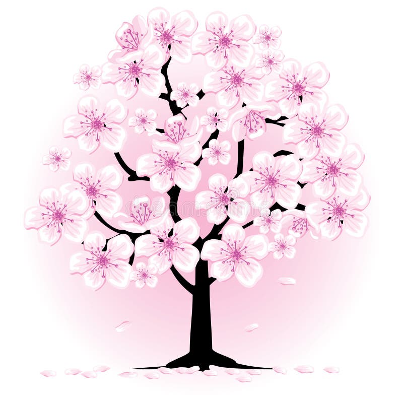 31+ Cherry blossom tree drawing Free Stock Photos - StockFreeImages