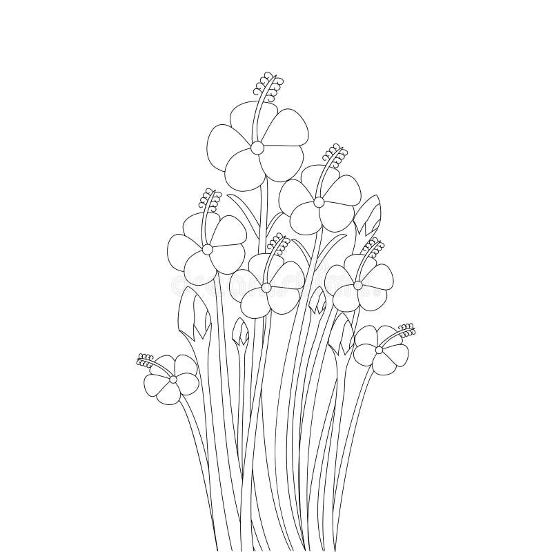 Blossom Coloring Page Design Of Printing Template Element Of Flower Drawing Stock Vector