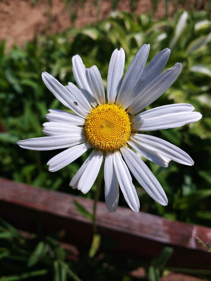 Rainbowart - Photographer profile