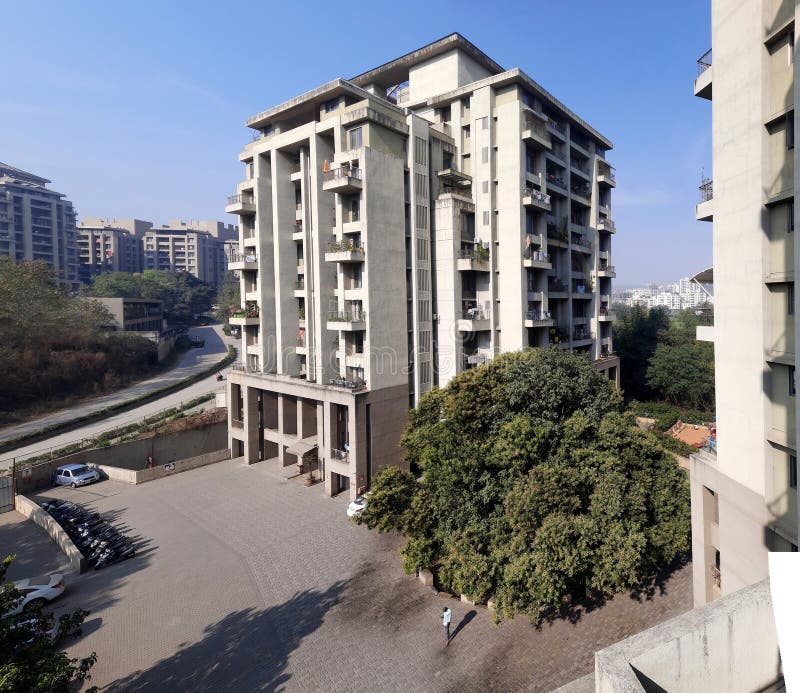 Blossom on Mango Tree in City Stock Image - Image of facade, bloss ...