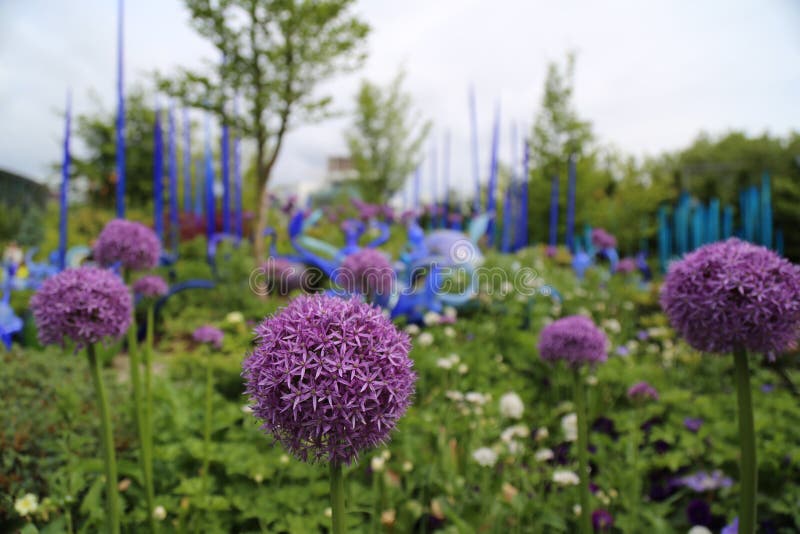 Blossom Nature stock image. Image of food, blossom, spring - 80434497