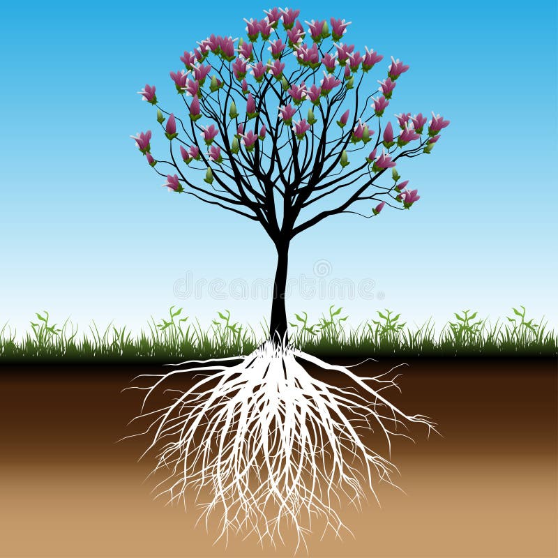 Tree roots silhouette stock vector. Illustration of nature - 18580002