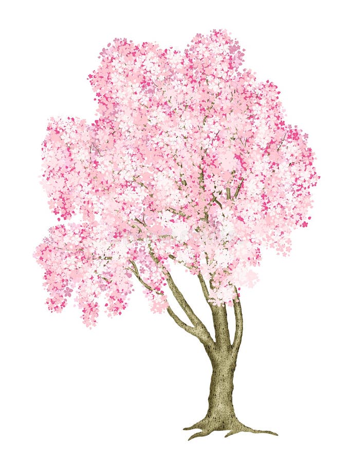 Cute Flower tree isolated stock image. Image of oriental - 368089737