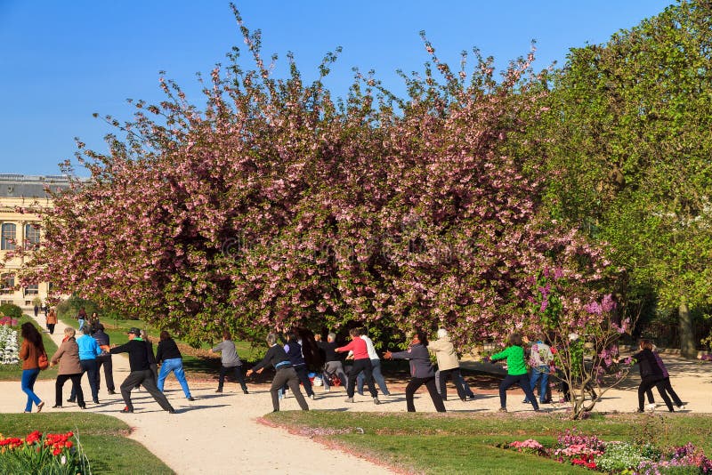 Blossom tree exercise editorial photo. Image of exercises - 66786671