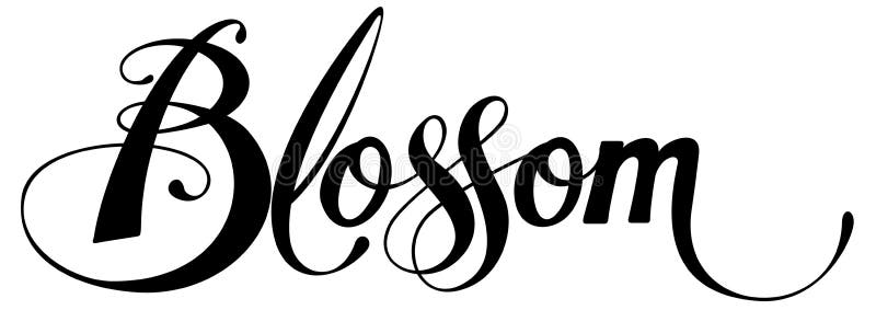 Blossom - Custom Calligraphy Text Stock Vector - Illustration of evolve ...