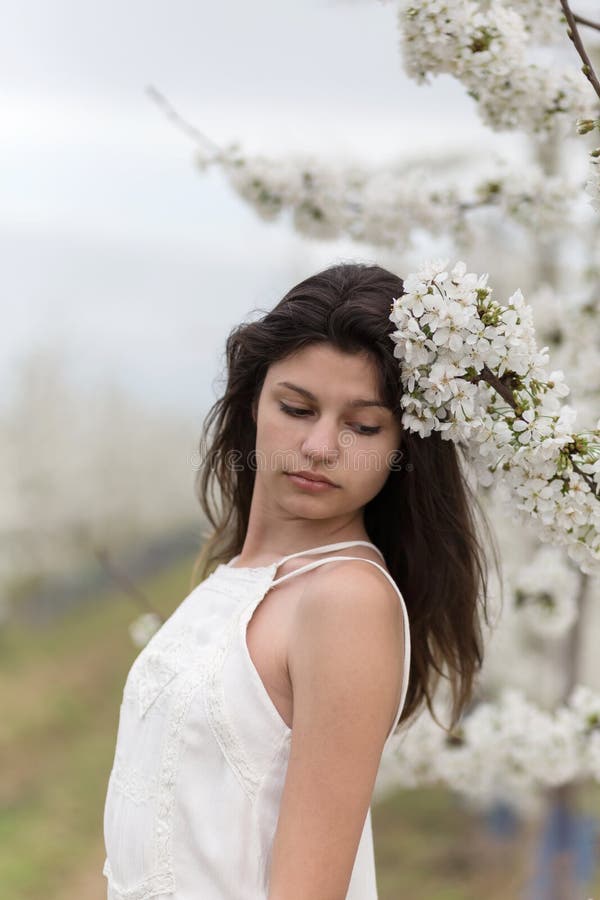 Blossomed Cherry Tree and Beautiful Girl Stock Image - Image of ...