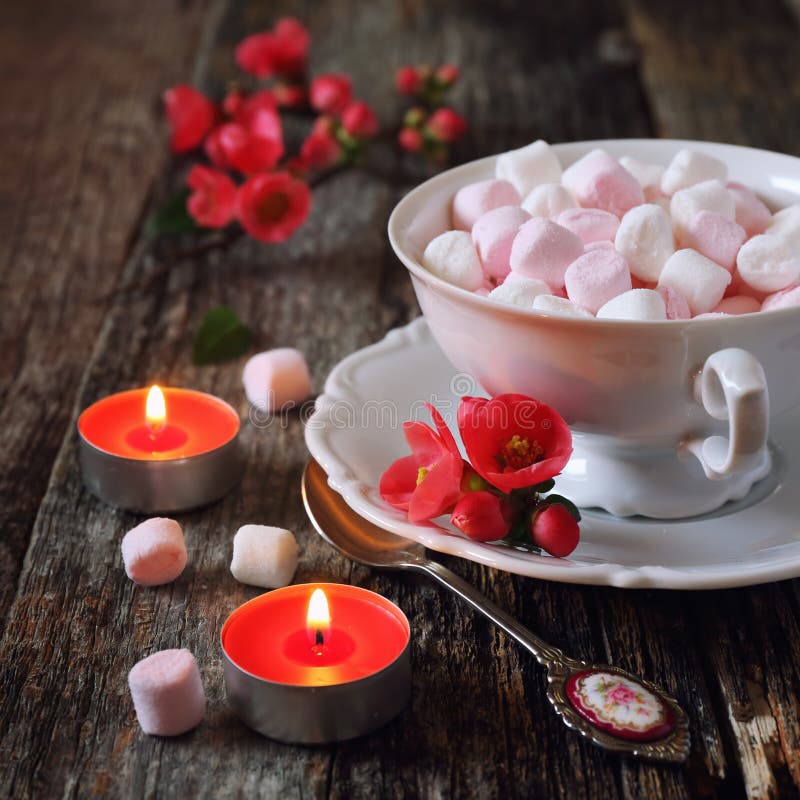 Blossoming Branch and Marshmallow Stock Image - Image of branch, candy ...