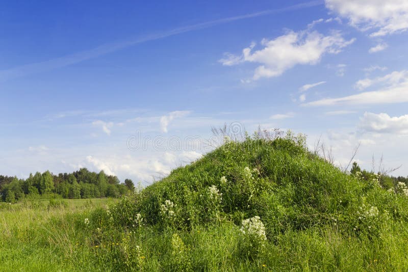 Blossoming Spring Green Hill Stock Photo - Image of tree, plant: 25029446