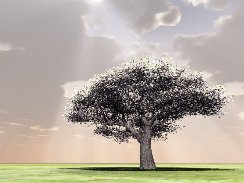 Blossoming Tree in the God Rays Stock Illustration - Illustration of ...
