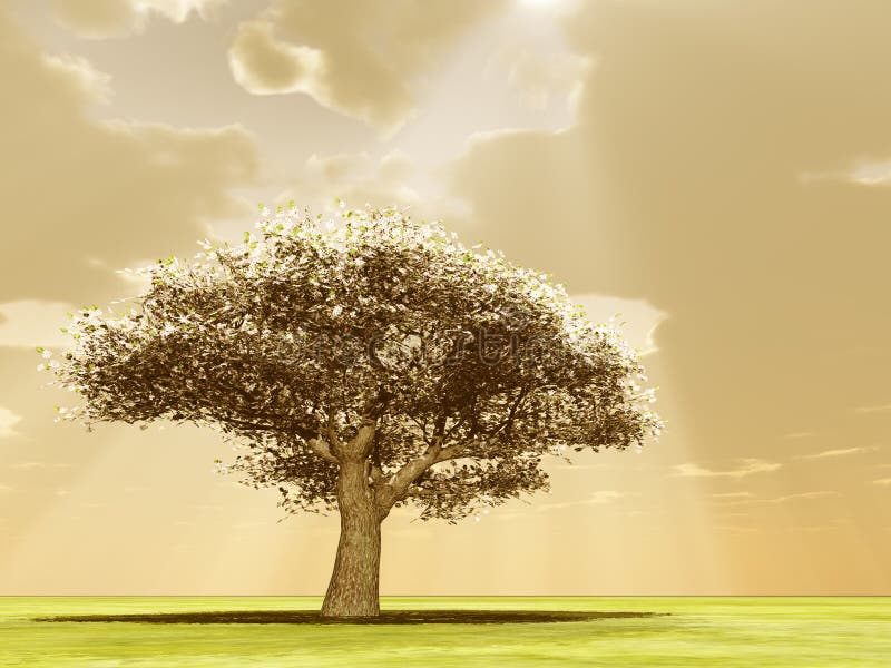 Blossoming Tree in the God Rays Stock Illustration - Illustration of ...