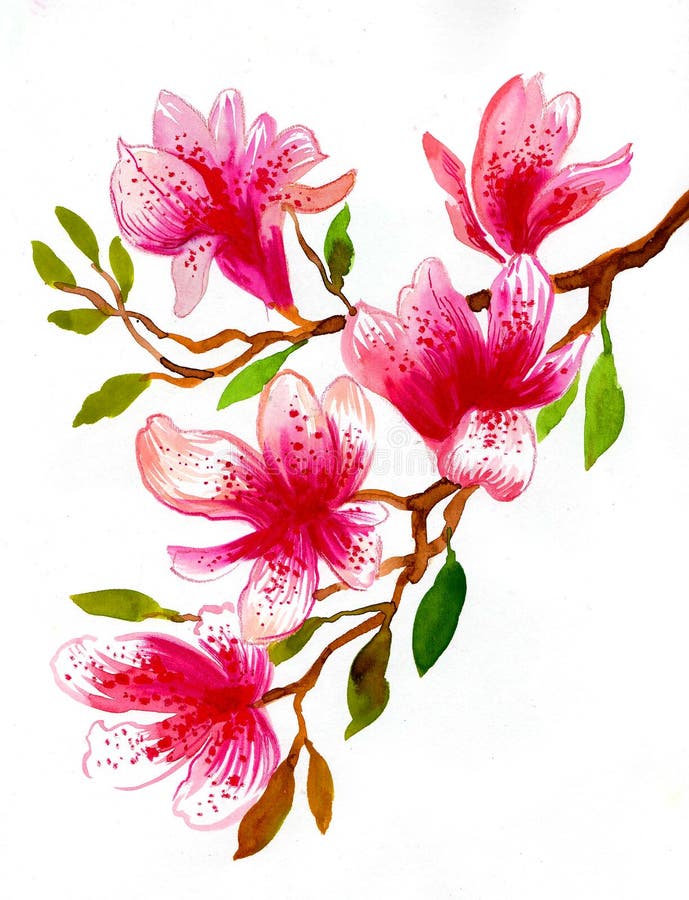 Blossoming tree stock illustration. Illustration of blossoming - 258752640