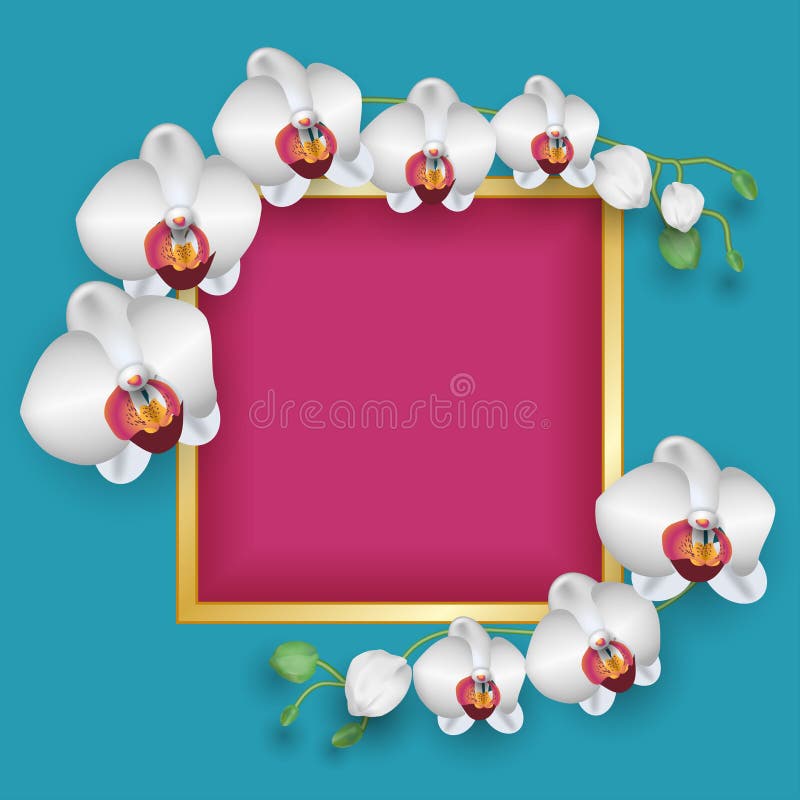 Blossoming White Orchids and Frame for Text Stock Vector - Illustration ...