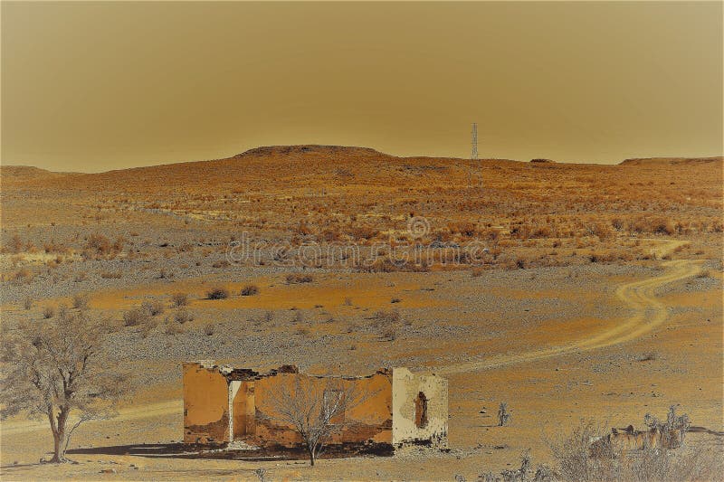 Leeu Gamka Stock Photos - Free & Royalty-Free Stock Photos from Dreamstime