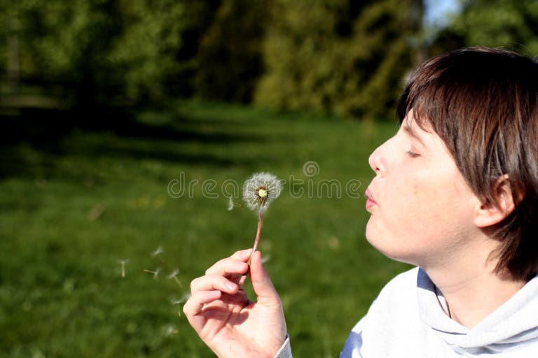 Blow stock image. Image of people, girl, flower, blowing - 307991
