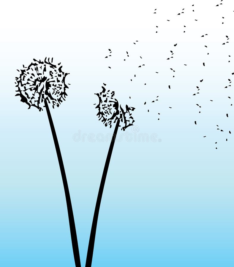 Blow Dandelion stock vector. Illustration of retro, graphic - 26595769