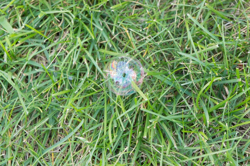 Bubble on grass stock photo. Image of bubbles, kids - 115157874