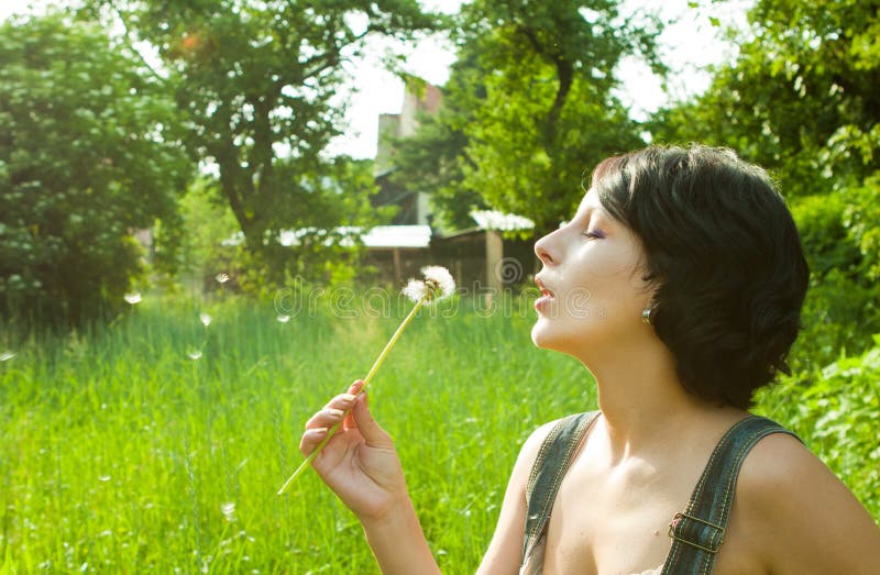 Blowing dandelion stock image. Image of blowing, dandelion - 14712381