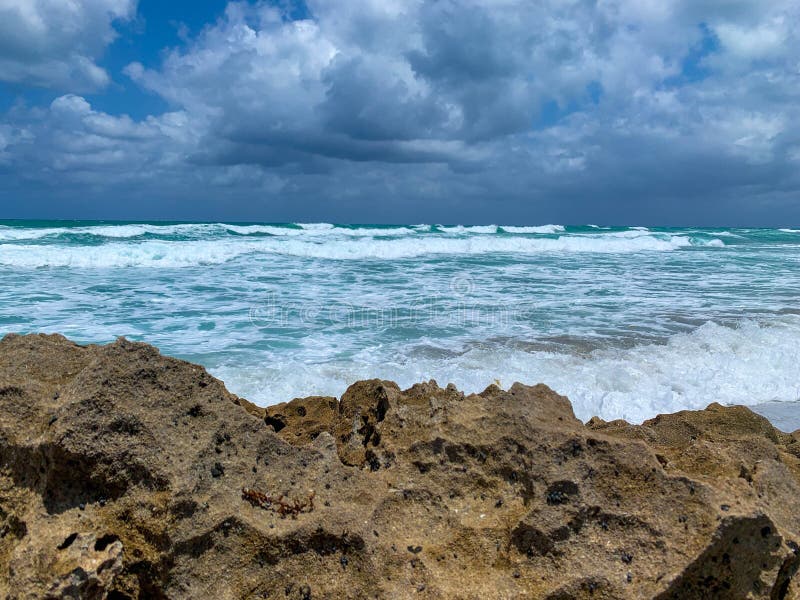 Blowing Rock Preserve in Jupiter Island, Florida Stock Image - Image of ...