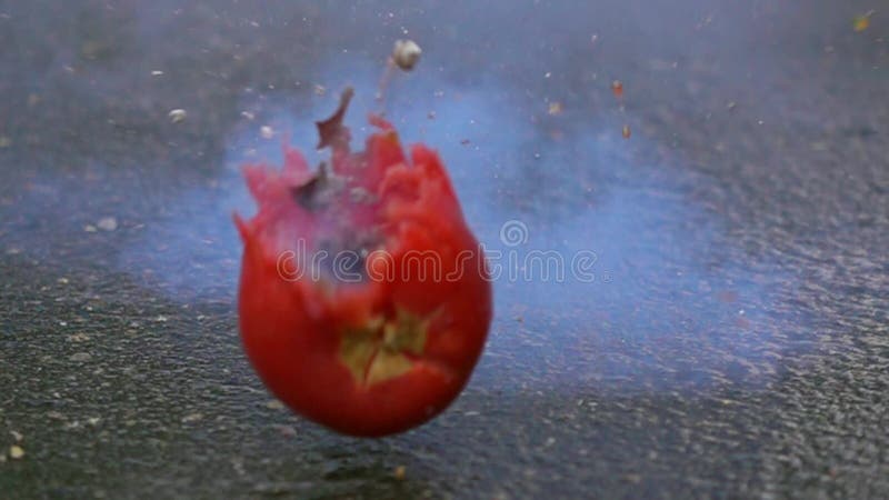 Single Red Ripe Tomato Hitting Black Water Surface and Rolling Away ...
