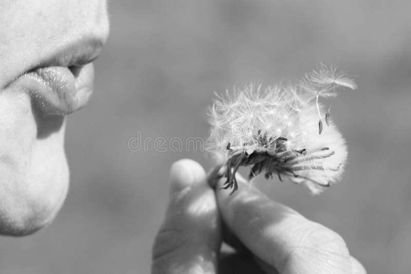 Blowing stock photo. Image of spring, park, blow, wind - 72215624