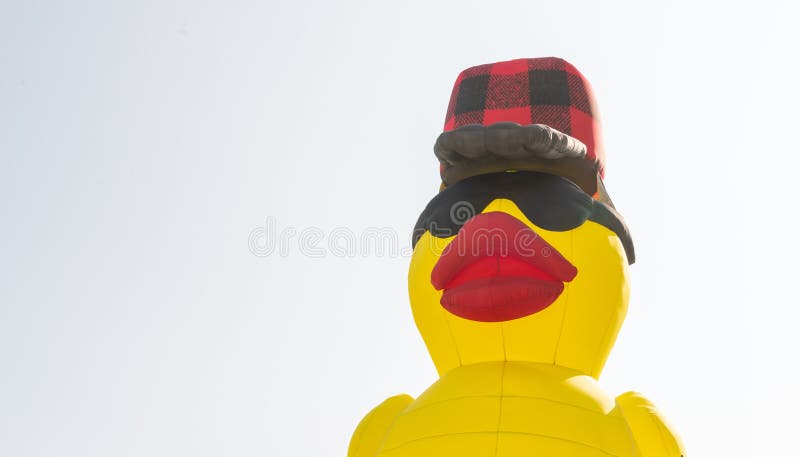 Blown Up Yellow Duck with Red and Black Hat Stock Image - Image of ...