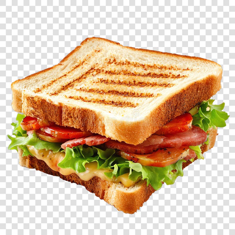 BLT Sandwich stock image. Illustration of bread, sandwhich - 341510995