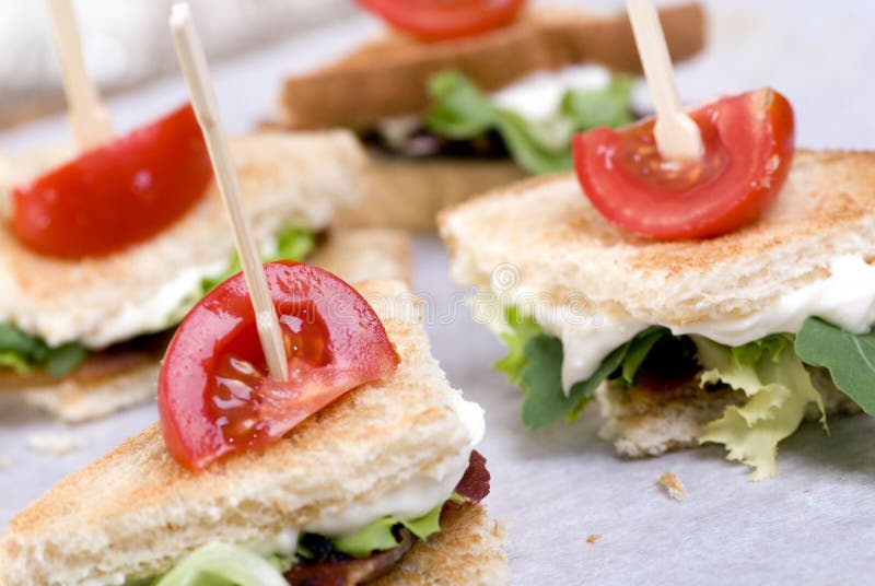 BLT wedges stock photo. Image of toast, mayo, toothpick - 3054736