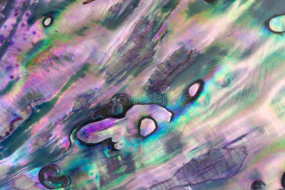Blue Abalone Pearl Shell, Close Up Stock Image - Image of pattern ...