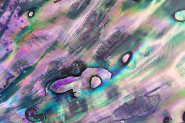 Blue Abalone Pearl Shell, Close Up Stock Image - Image of pattern ...