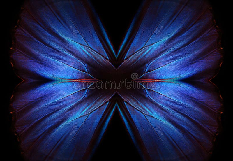 Blue Abstract Pattern. Wings of a Butterfly Morpho Texture Background ...