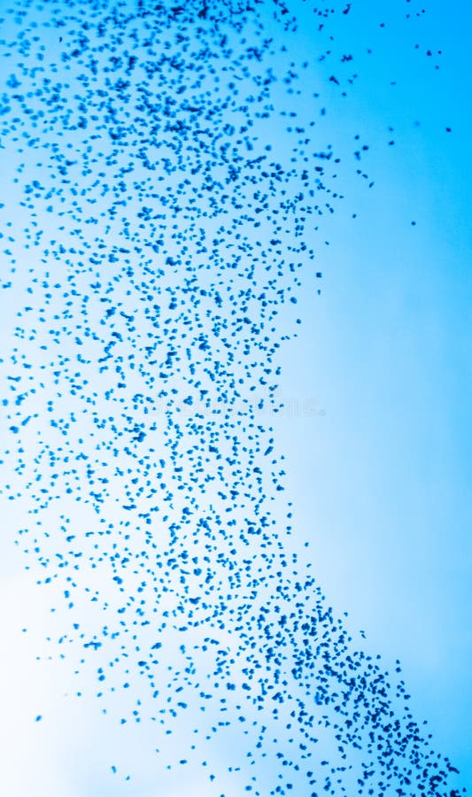 Blue Abstract Powder Explosion Background Stock Photo - Image of ...