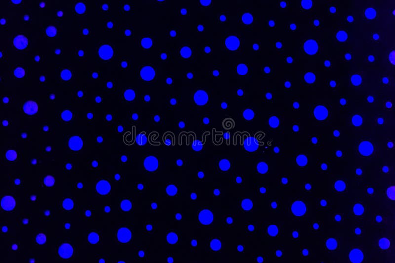 Blue Abstract Round Polka Dot Pattern Sample Template Background Design ...