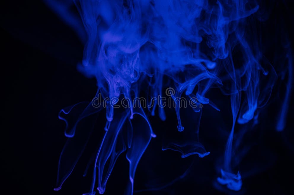 Blue Abstract Smoke Tendrils on Black Background.. Stock Image - Image ...