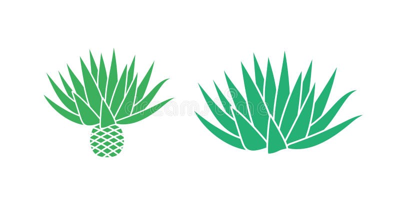 Blue Agave Plant Vector Silhouette. Stock Vector - Illustration of ...