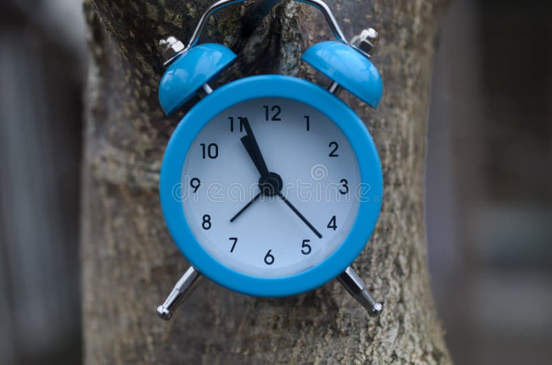 Blue Alarm Clock on a Tree Trunk. the Concept of Time. Stock Image ...