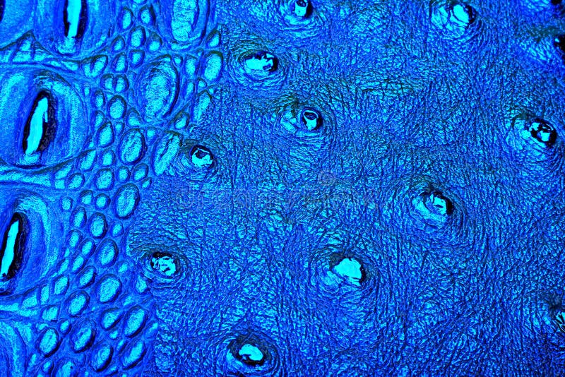 Blue Alligator Patterned Background Stock Image - Image of patterned ...