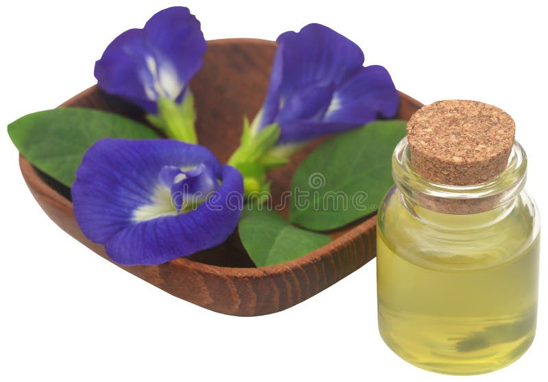 Blue Aparajita Flower with Extract Stock Image - Image of herb ...