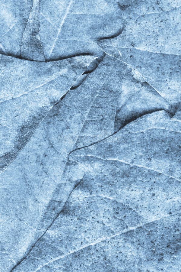 Blue Autumn Foliage Background Grunge Texture Stock Image - Image of ...