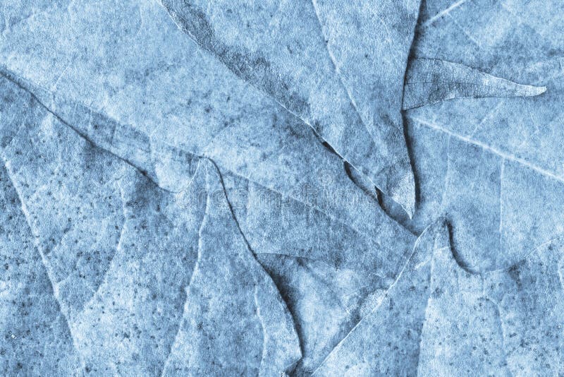 Blue Autumn Foliage Background Grunge Texture Stock Image - Image of ...