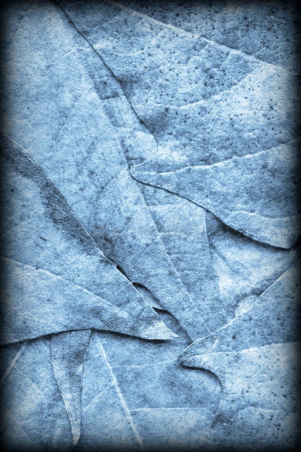 Blue Autumn Foliage Background Vignetted Grunge Texture Stock Photo ...